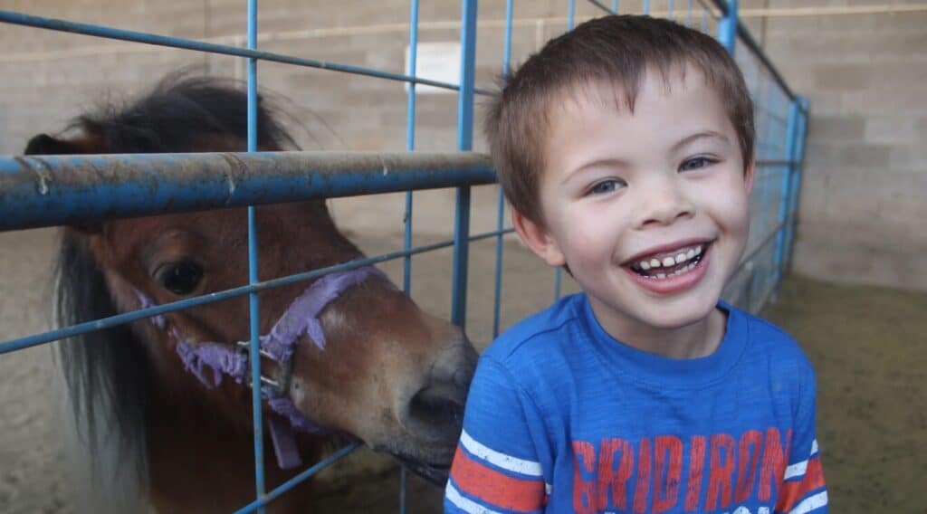 Animal Education Therapy | Special Education Services | Austin Centers ...