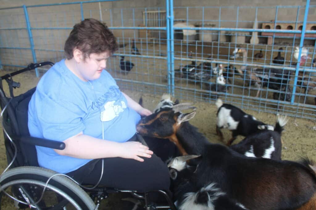 Therapeutic Programs for Students with Autism, Emotional Disabilities ...